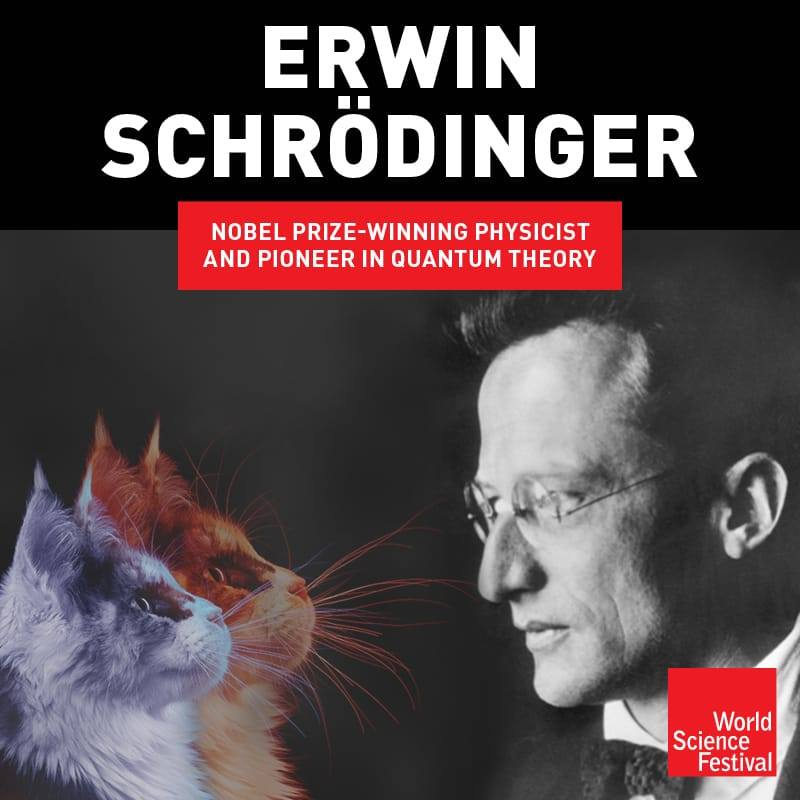 1.4 Schrödinger’s Cat and Superposition of States - World Science U