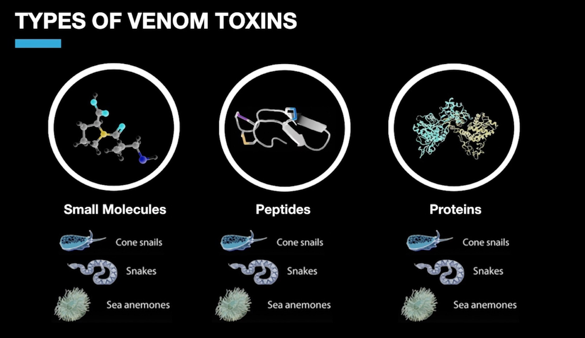 2.1 Venom Arsenal - World Science U