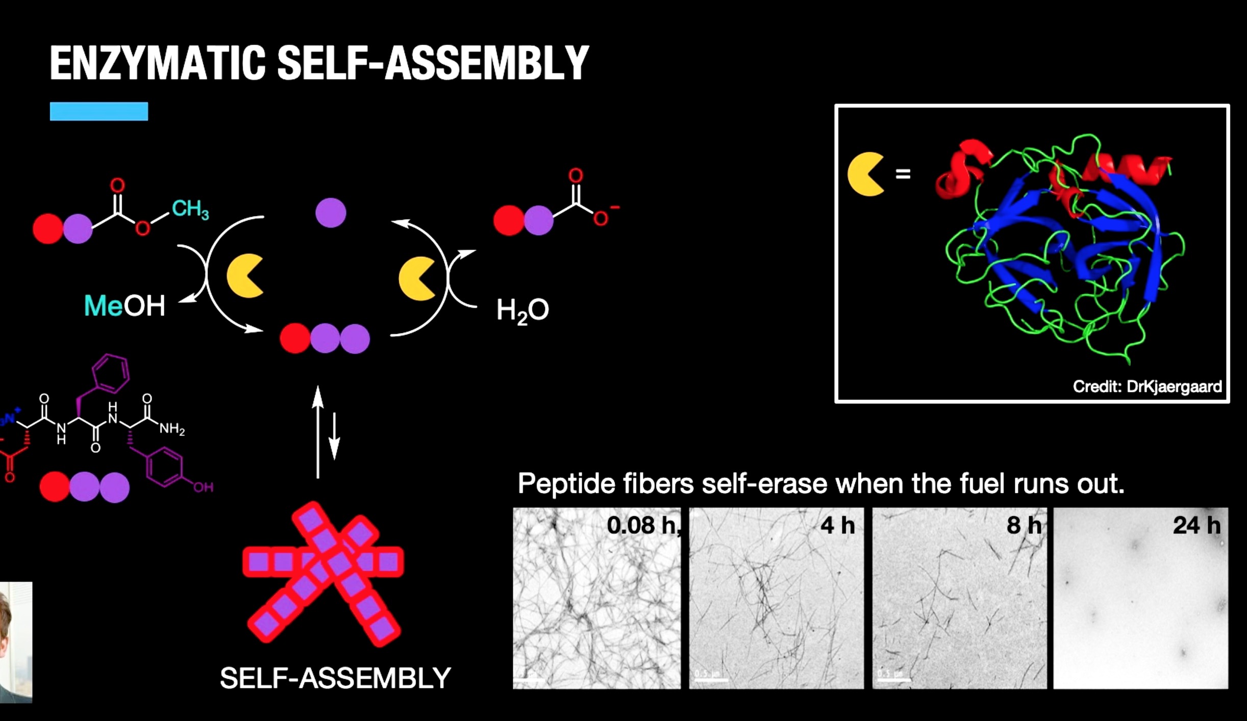 2.1 Biological Molecular Machines - World Science U